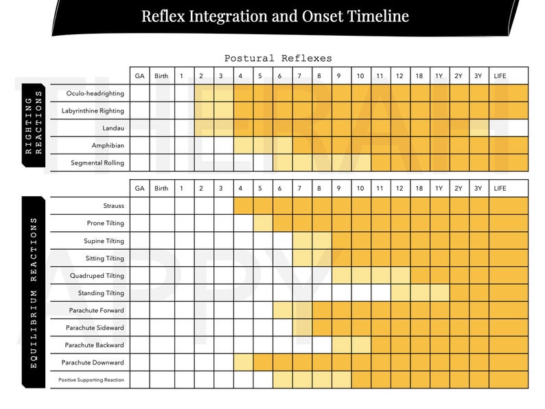 Primitive Reflexes and Postural Reflexes Guide for OT, PT, Teachers ...