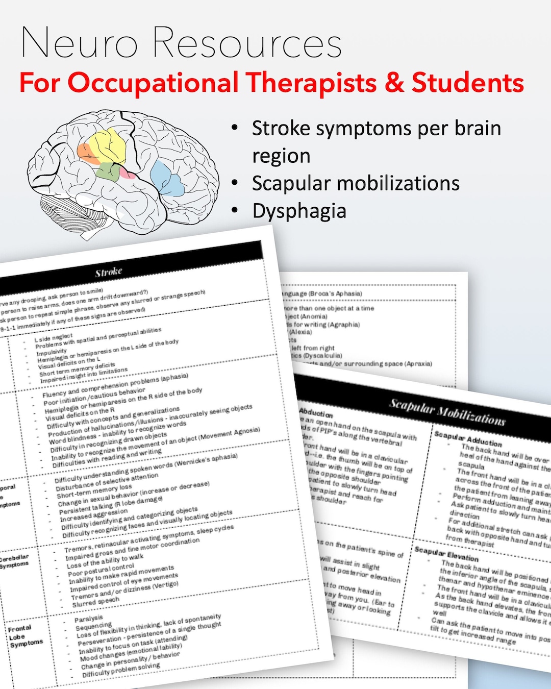 Neuro Cheat Sheet for Occupational Therapy Students & Practitioners ...