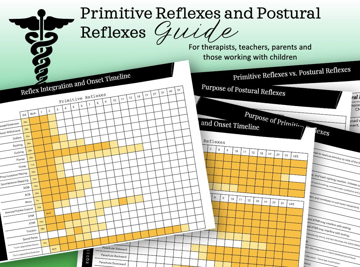 Primitive Reflexes and Postural Reflexes Guide for OT, PT, Teachers ...