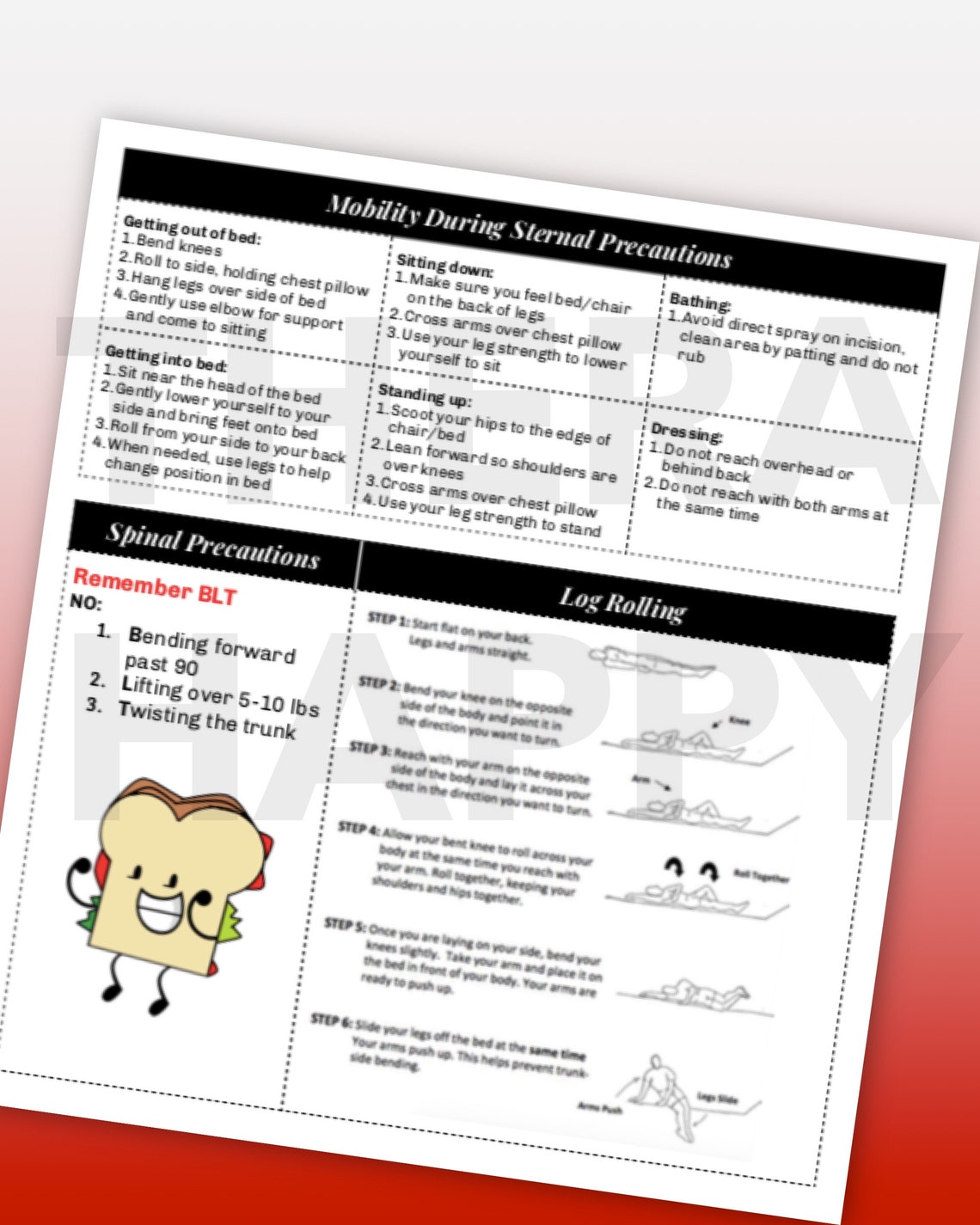 Safety Precautions Sheet for Therapists and Therapy Students, PT, OT ...
