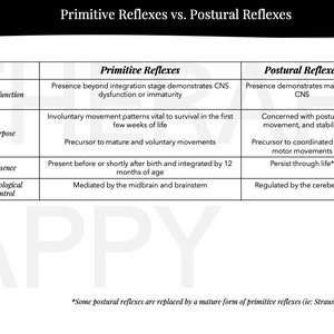 Primitive Reflexes and Postural Reflexes Guide for OT, PT, Teachers ...