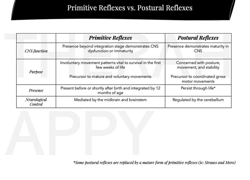 Primitive Reflexes and Postural Reflexes Guide for OT, PT, Teachers ...