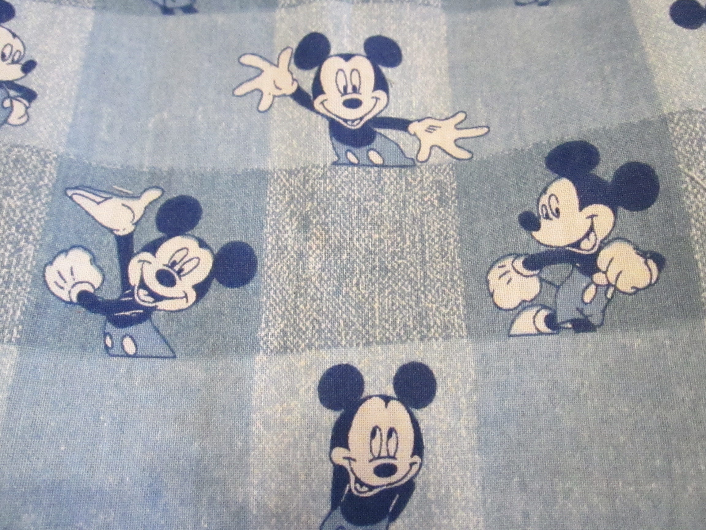 Mickey Mouse Denim Checkered Look/ Blue Striped Reversible - Etsy