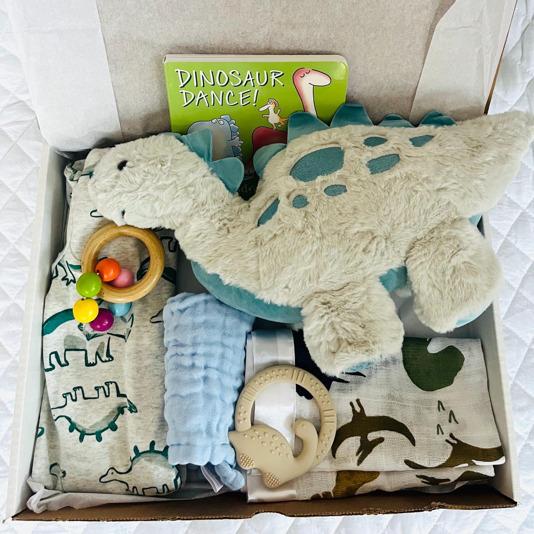 Dino Baby Boy Gift | Dino Baby Bundle Boy Gift Box | Gift Set for Baby ...