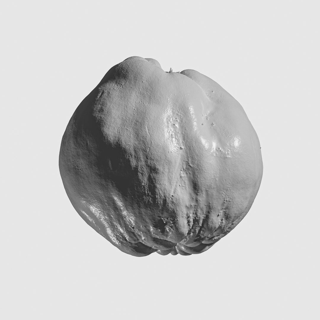 Quince 2 Ultra-realistic 3D Print Model scanned - Etsy