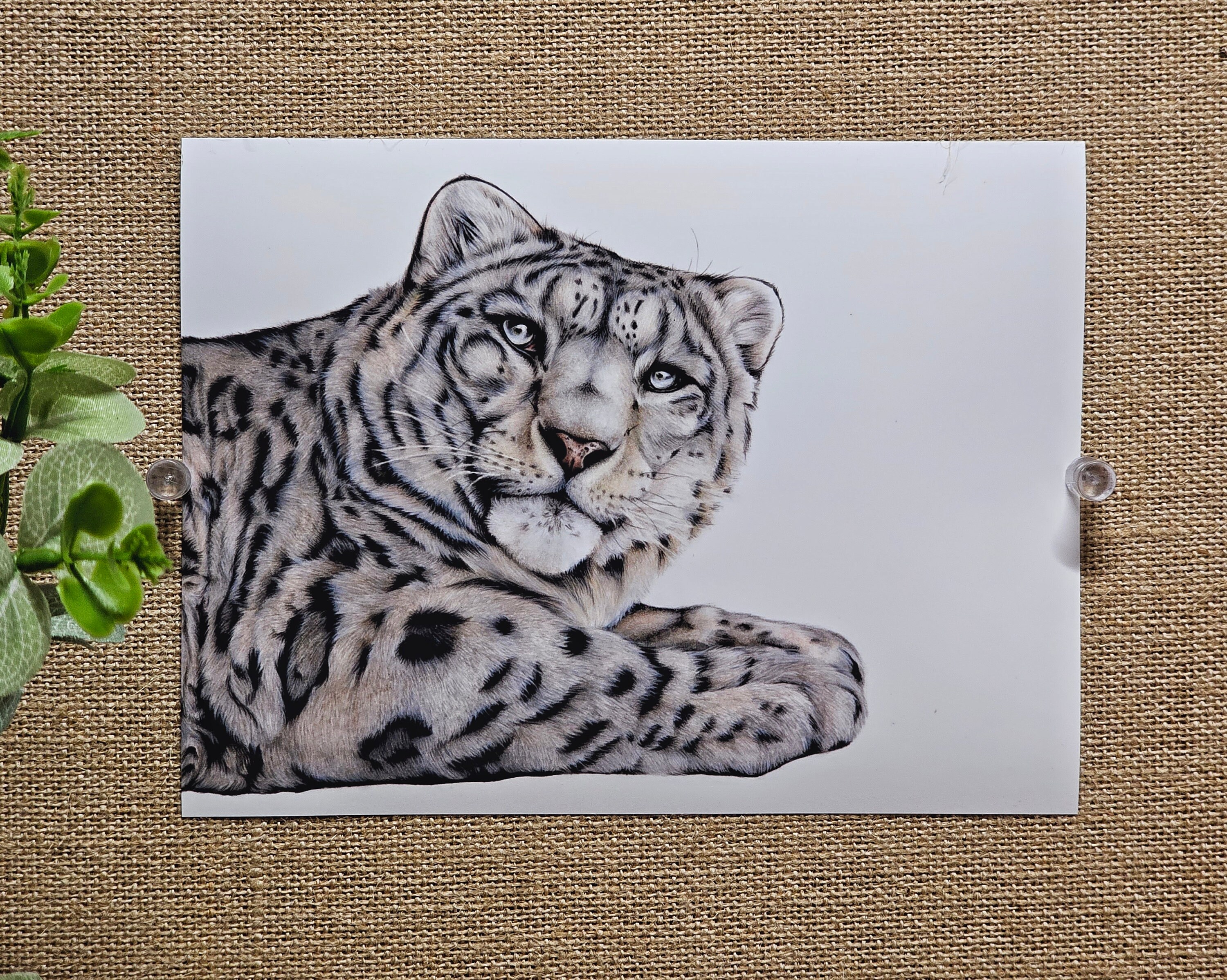 Snow Leopard Art Print - Etsy