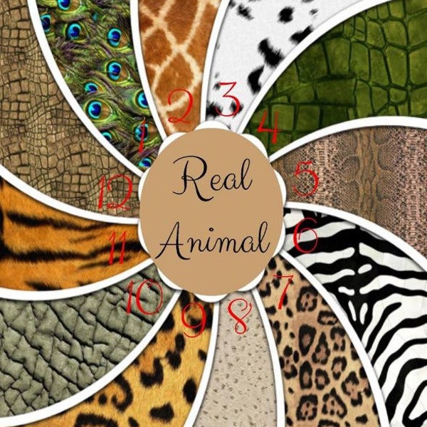 Pattern Vinyl - Etsy