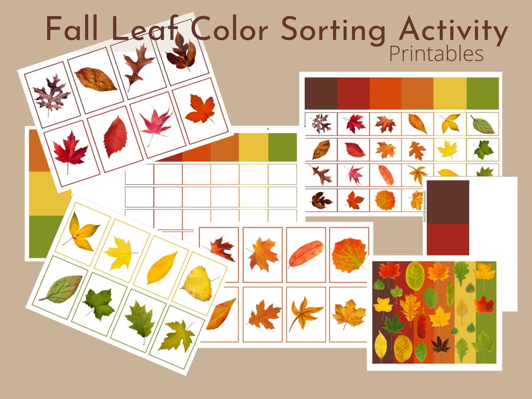 Fall Leaf Color Sorting / Color Matching / Card Sort / Velcro Activity ...