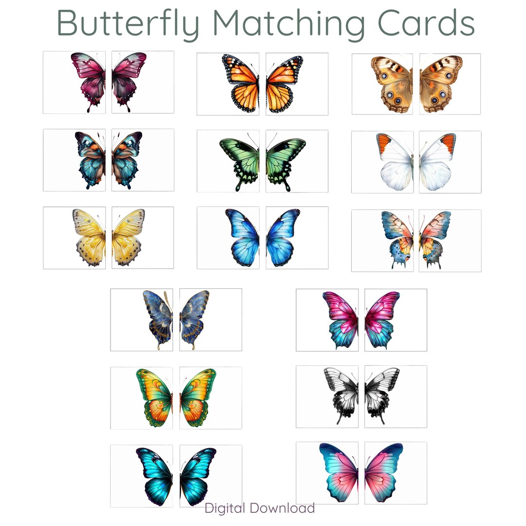 Butterfly Matching Cards, 15 Sets of Wings for Matching, Toddler and ...