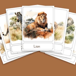 African Animal Flashcards, 12 Cards of Savannah Animals for Learning ...