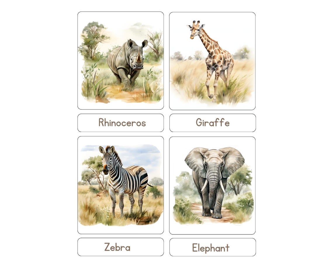 African Animal Flashcards, Savannah Habitats Educational Tool (digital ...