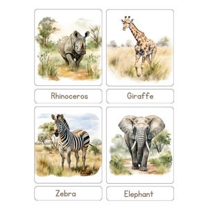 African Animal Flashcards, 12 Cards of Savannah Animals for Learning ...