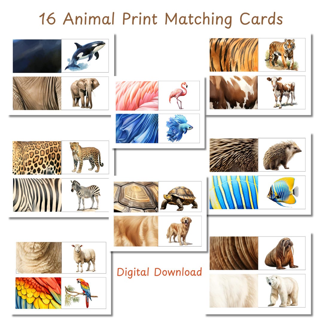 Animals and Prints Matching Cards - 16 Sets for Toddlers and Pre-k ...