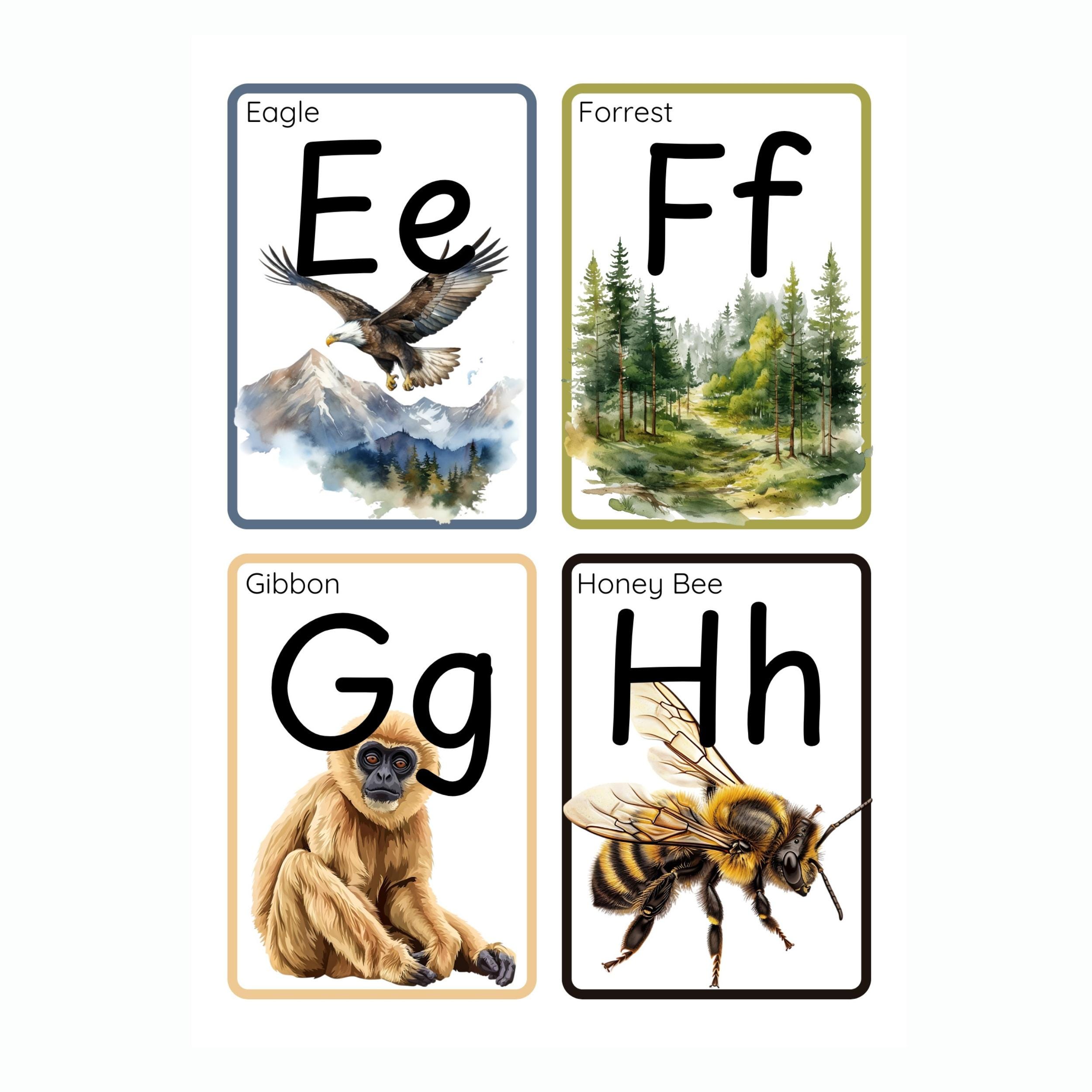 Nature Alphabet Flashcards | Nature Themed ABC Cards for Homeschool ...