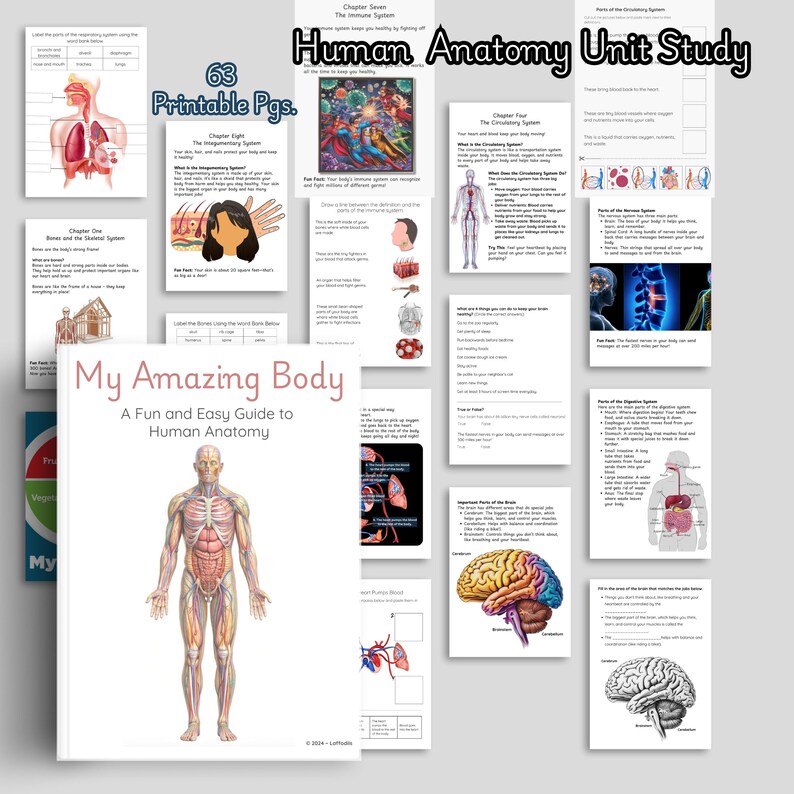Human Anatomy Unit Study – Fun, Hands-on Learning (PDF) - Etsy