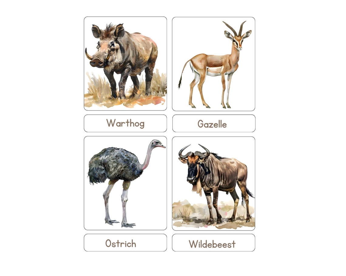 African Animal Flashcards, Savannah Habitats Educational Tool (digital ...