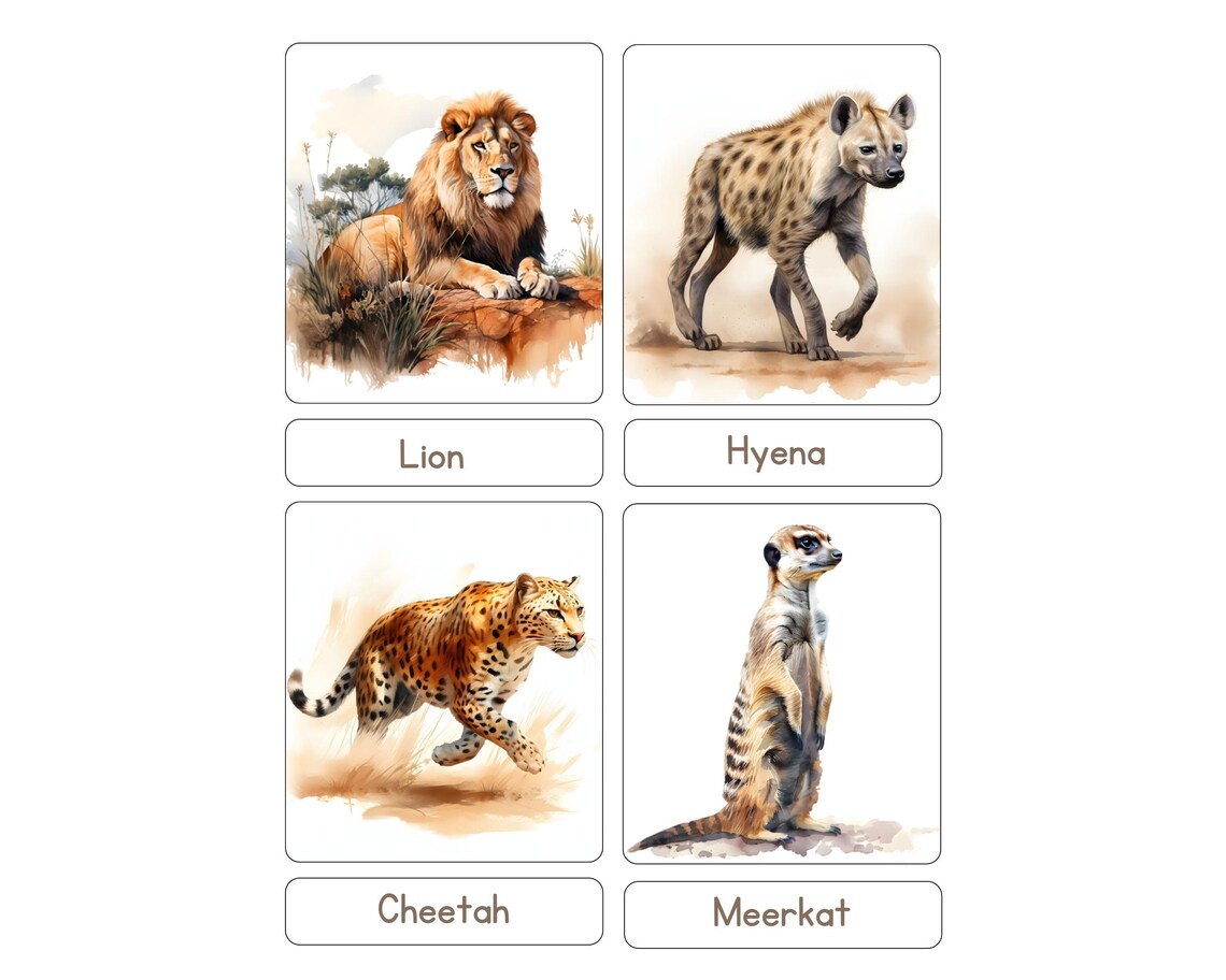African Animal Flashcards, Savannah Habitats Educational Tool (digital ...