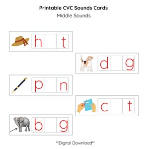 Printable CVC Beginning, Middle & Ending Sounds Cards | Early Literacy ...