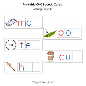 Printable CVC Beginning, Middle & Ending Sounds Cards | Early Literacy ...