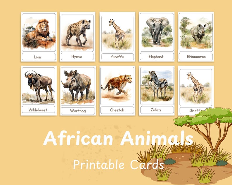 African Animal Flashcards, Savannah Habitats Educational Tool (digital ...