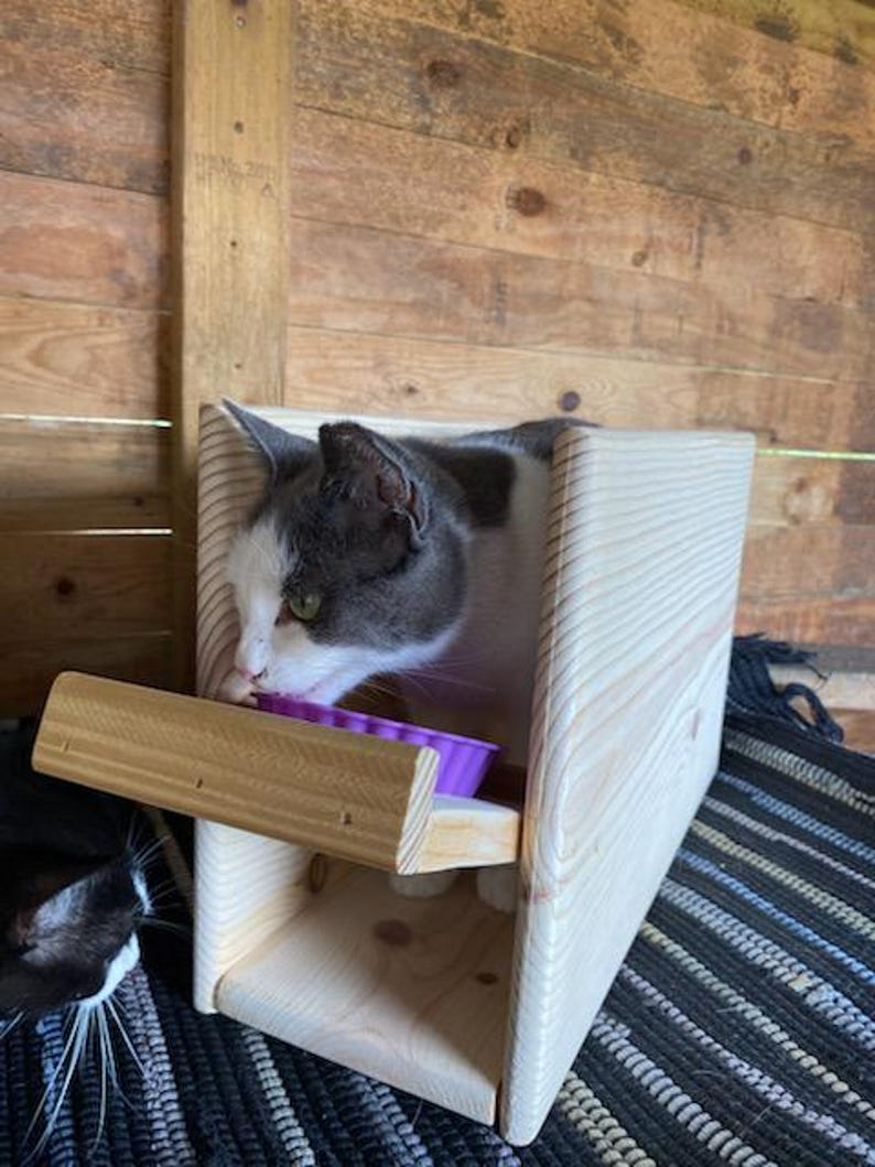 CH Cat Feeder / Feeding Stall / Elevated Feeder / Feeding Station Support for Wobbly Cat / Cats ...