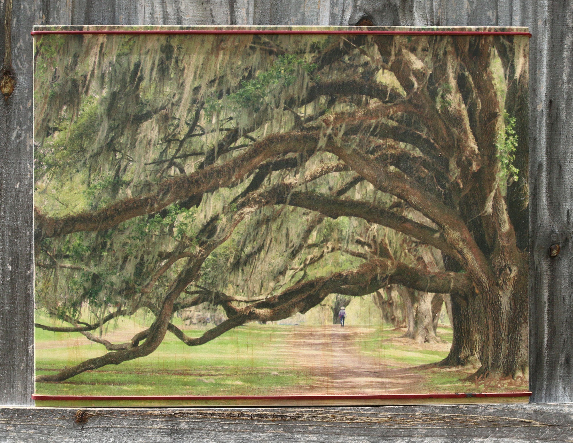 Cowboy Under Oak Trees - Etsy