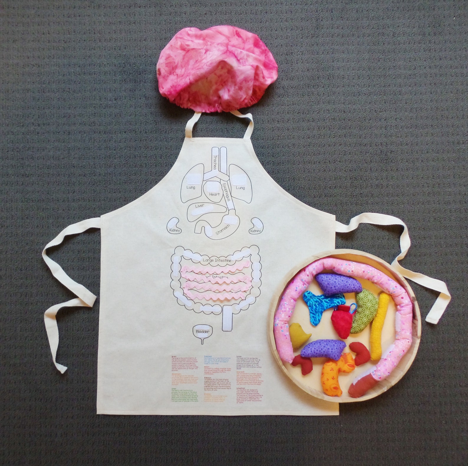 Human Body Anatomy Apron & Organs Sewing Pattern Printables - Etsy