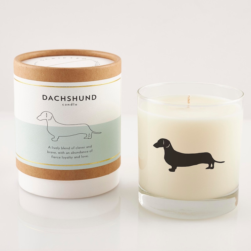 Dachshund Gift - 60+ Gift Ideas for 2025