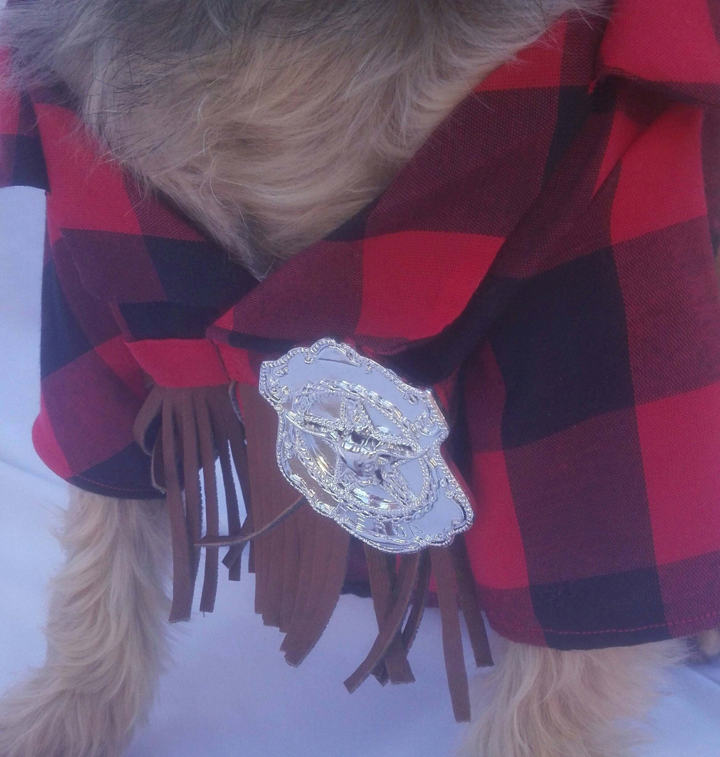 Cowboy dog costume cowboy costume for dogs sheriff dog | Etsy