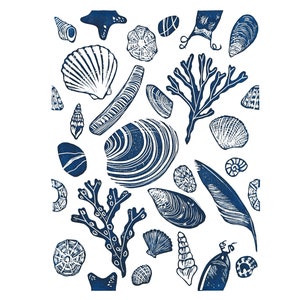 Shell Print, Seaside Lino Print, Lino Print, Beachcomber Print ...