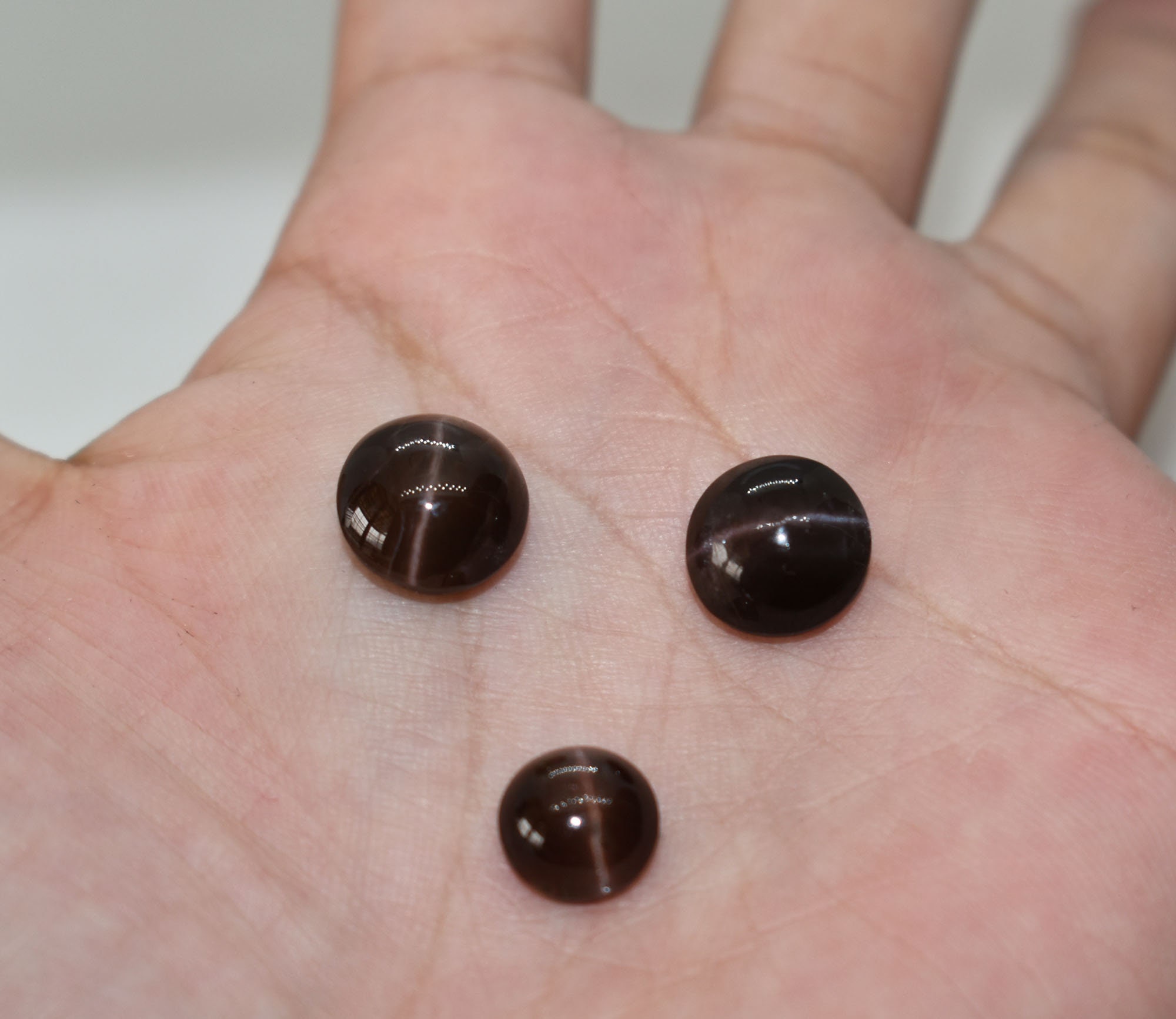Natural Spectrolite Cat's Eye Round Shape Loose Cabochon | Etsy