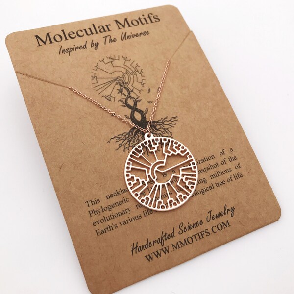 Evolution Jewelry - Etsy