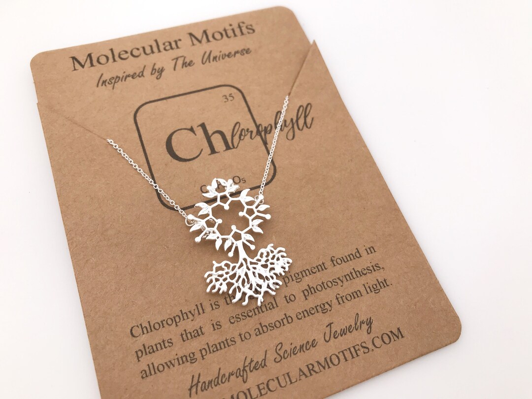 Chlorophyll Molecule Tree of Life Necklace,botanist Gift,science Gift ...