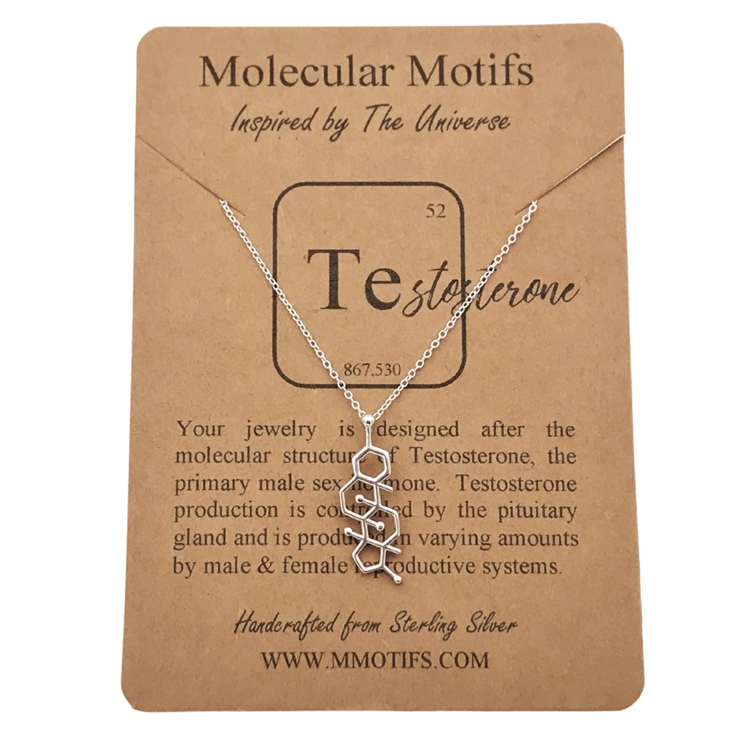 Sterling Silver Testosterone Molecule Pendant Necklace-science Gifts ...