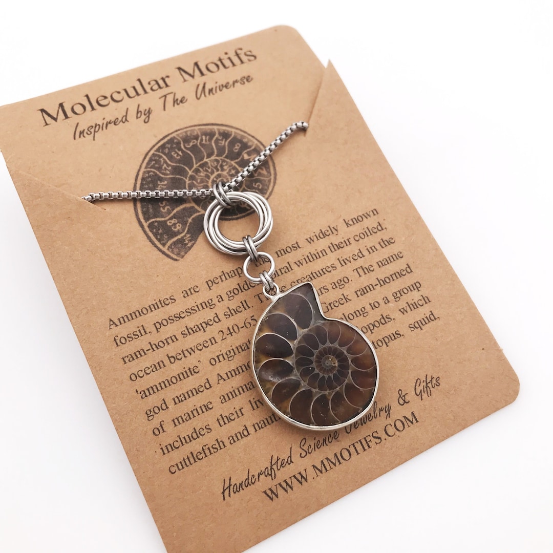 Ammonite Nuatilus Fossil Pendant Necklace Infinity Knot | Golden Ratio ...
