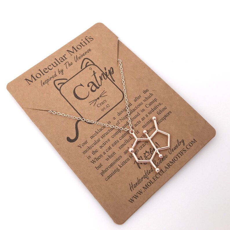 Catnip Molecule Necklace-cat Lover Gift-veterinarian Vet-cat | Etsy
