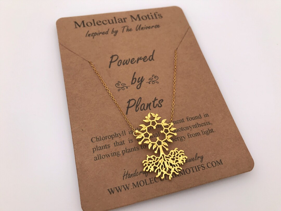 Vegan Tree of Life Necklace-chlorophyll Molecule-women in Stem-tree of ...