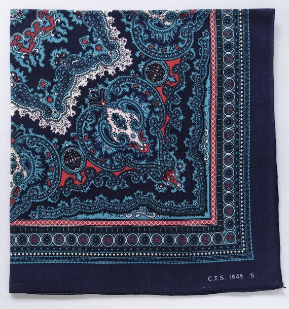 Paisley Bandana Border
