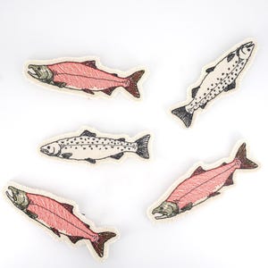 Red Salmon Embroidered Patch, Fish Canvas Applique, Oncorhynchus Nerka ...