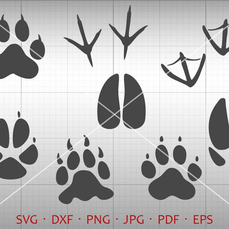 Animal Tracks Svg - Etsy