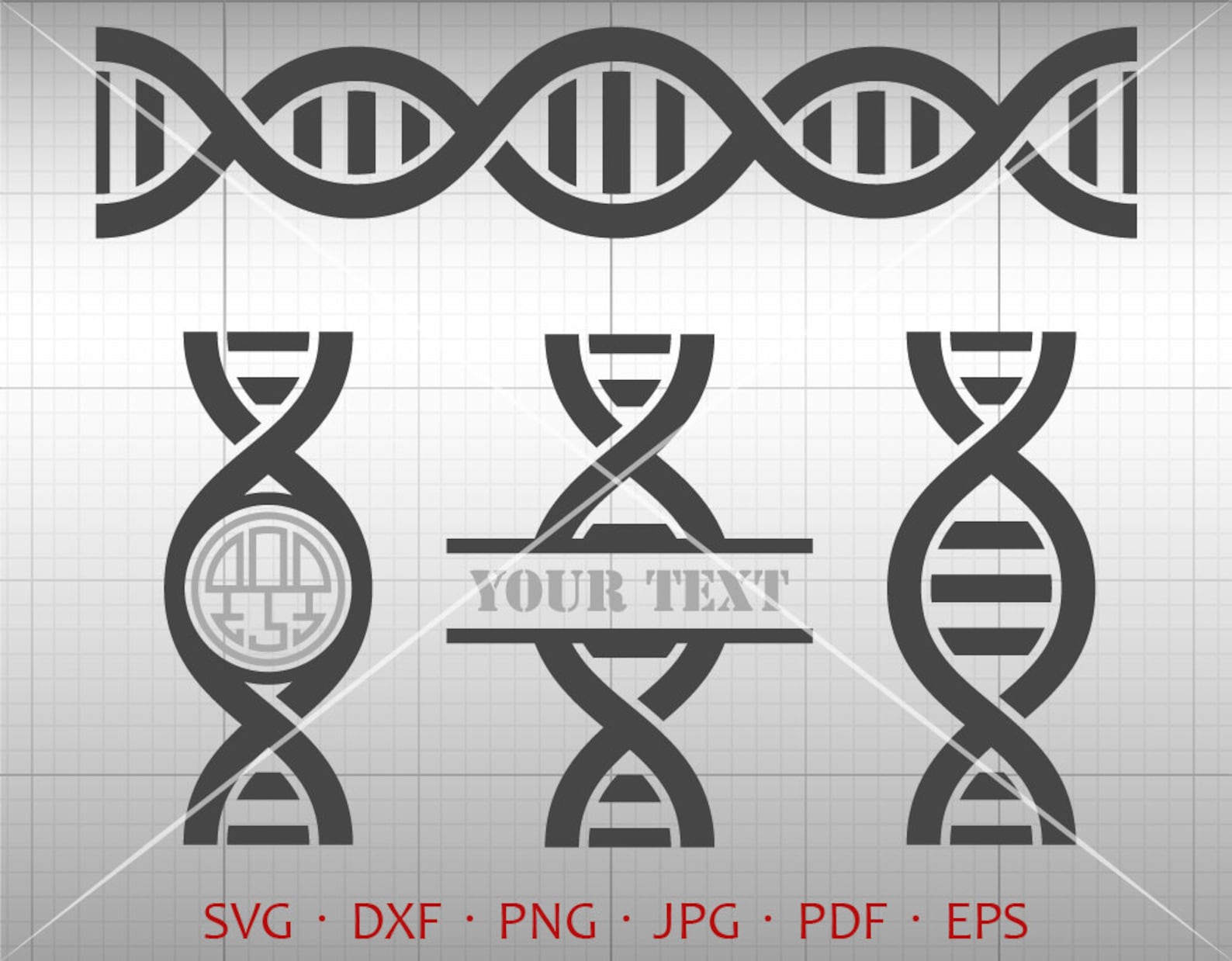 Gene SVG Biology Monogram Frame Chromosome Clipart Vector - Etsy