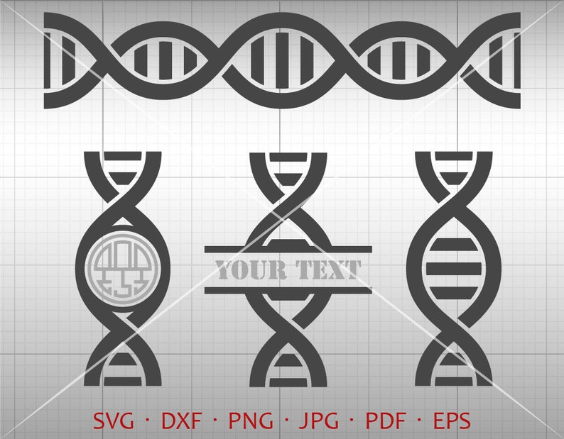 Gene SVG, Biology Monogram Frame , Chromosome Clipart Vector Silhouette ...