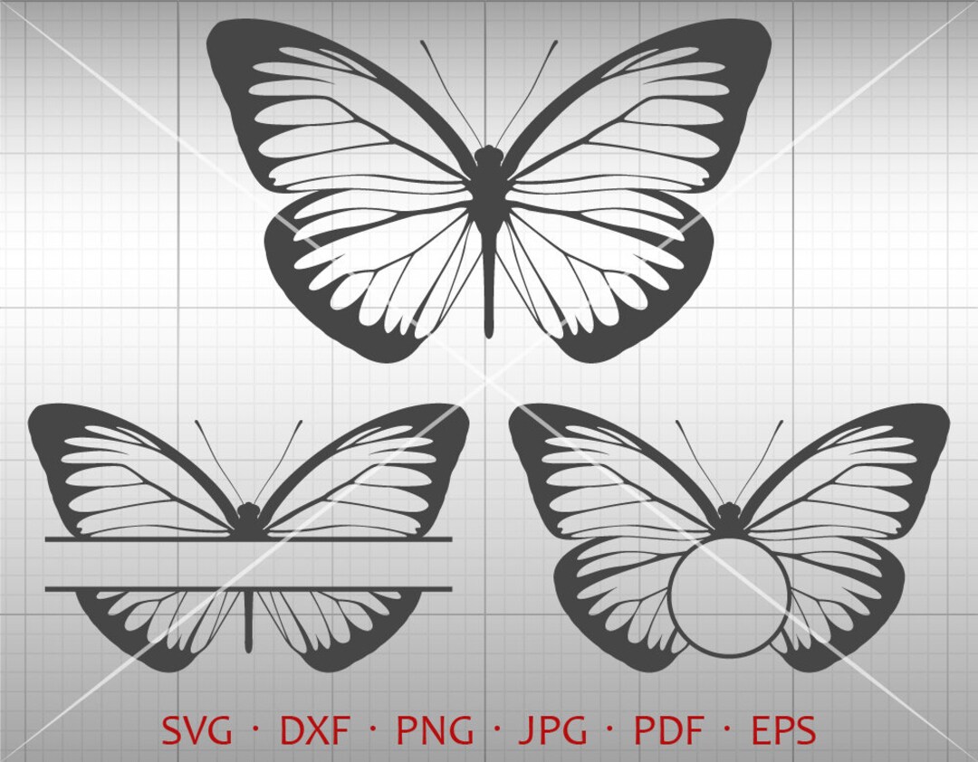 Butterfly SVG, Butterfly Monogram Frame SVG , Butterfly Clipart ...