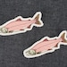 Red Salmon Embroidered Patch, Fish Canvas Applique, Oncorhynchus Nerka ...
