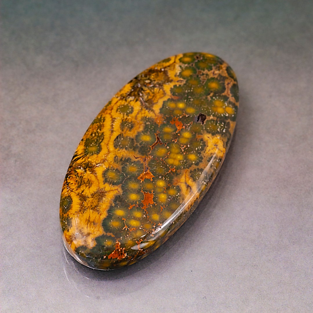 Orbicular Ocean Jasper Large Oval Cabochon Polished Both Sides Green ...