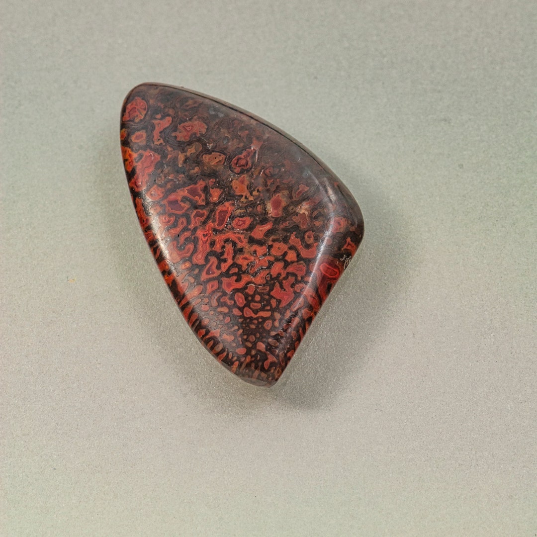 Gem Bone Dinosaur Bone Orange Red Color Soft Triangle Cabochon Ring ...