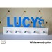 Personalized lucy Name Medal Holder Custom - Etsy