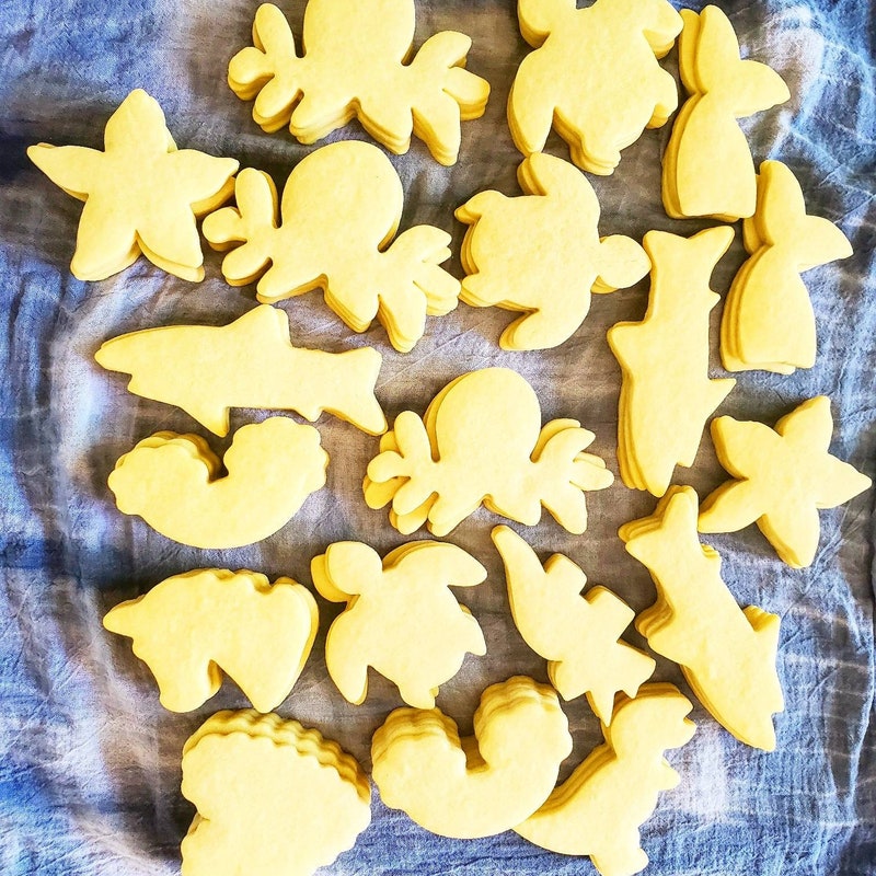 Undecorated Sugar Cookies - Etsy