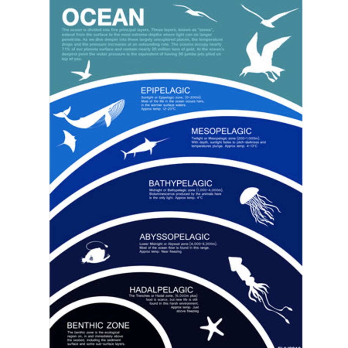 Ocean Science Education Poster - Etsy