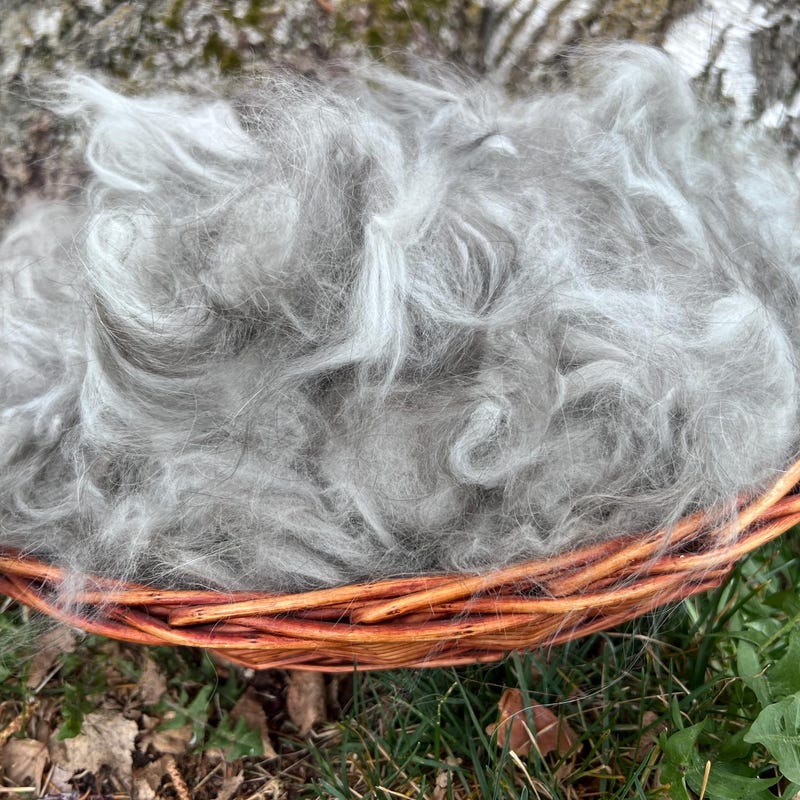Angora Fibre for Spinning - Etsy